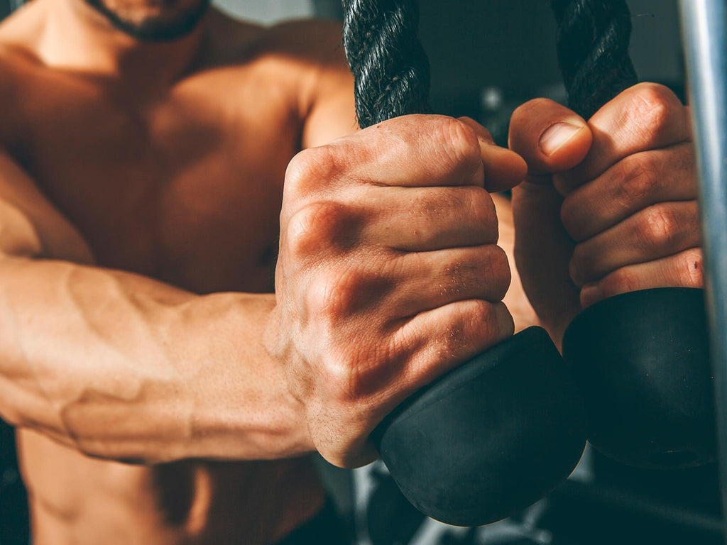 10 Best Triceps Exercises for Bigger Triceps – Muscle Dojo